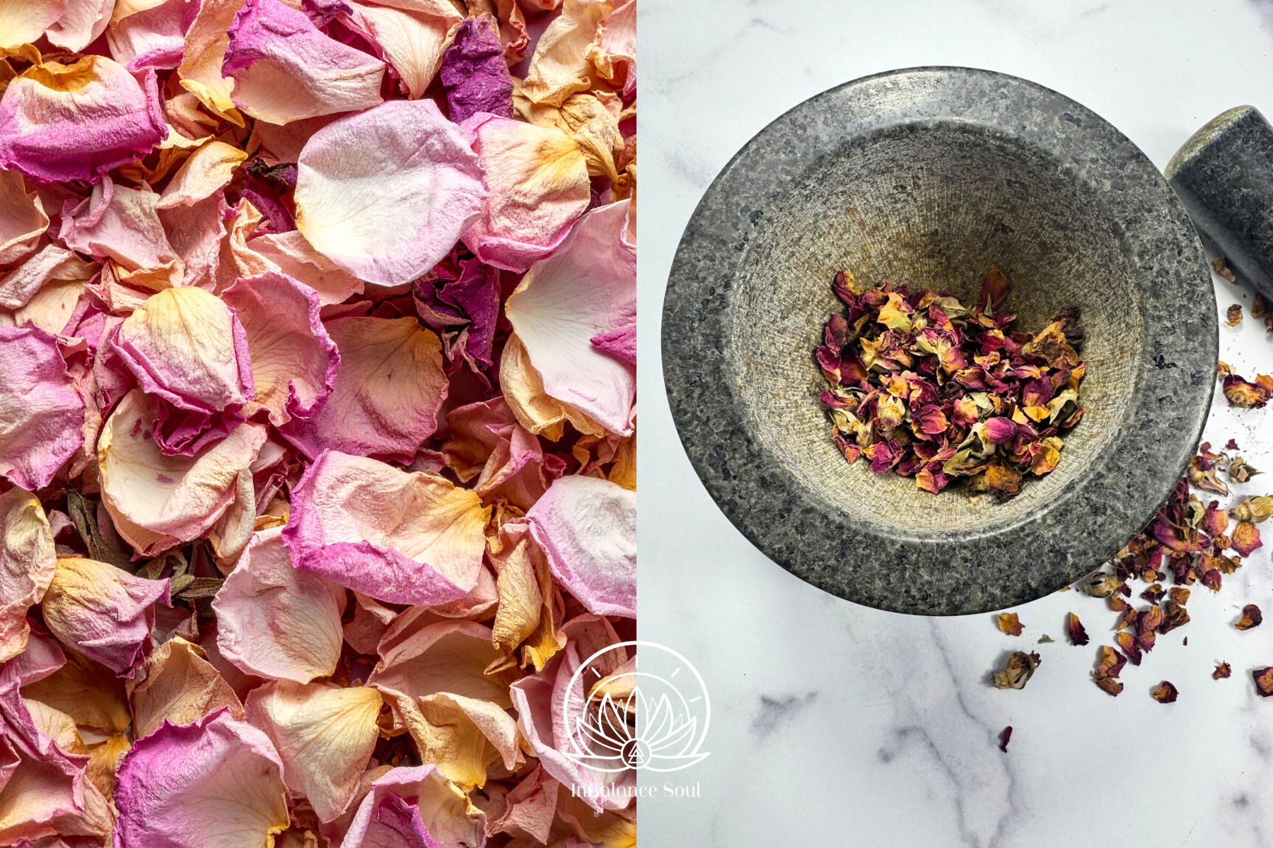 Herb of the month: Rose Petals – InBalance Soul